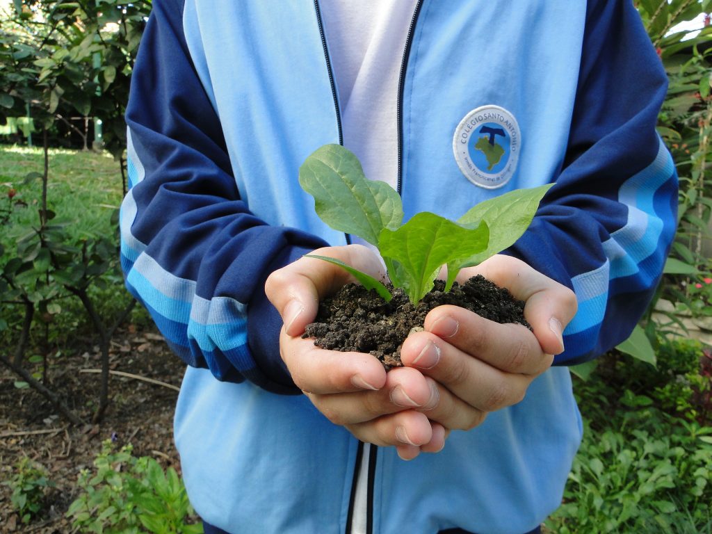 Dia Do Meio Ambiente Colégio Santo Antôniocolégio Santo Antônio